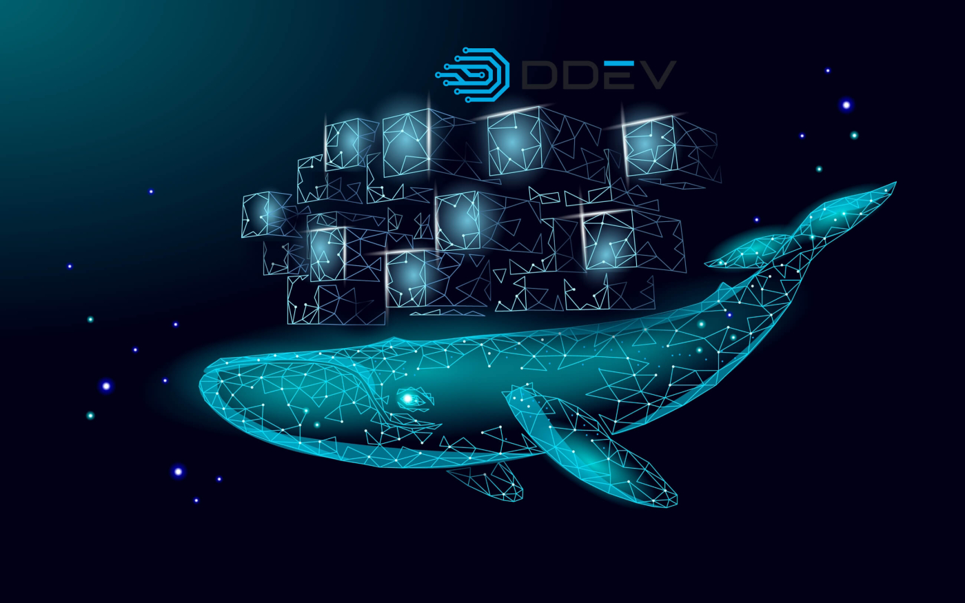 DDEV - Lokale Entwicklungstools basierend auf Docker Containern